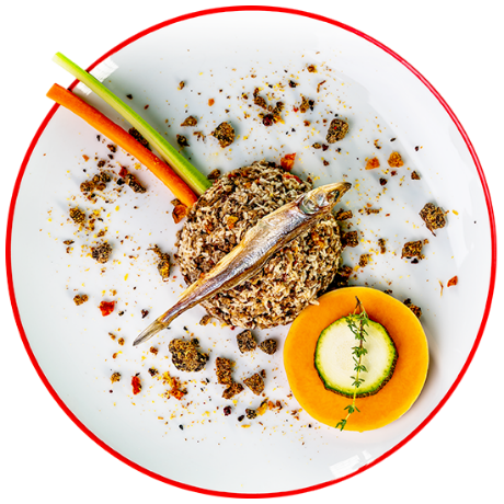 ROCKETO – Healthy And Convenient Organic Dog Food Delivered