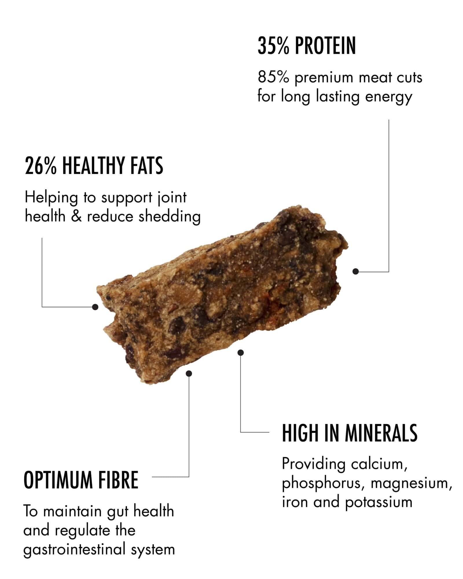 Really Good Dog Food, right this way | Rocketo