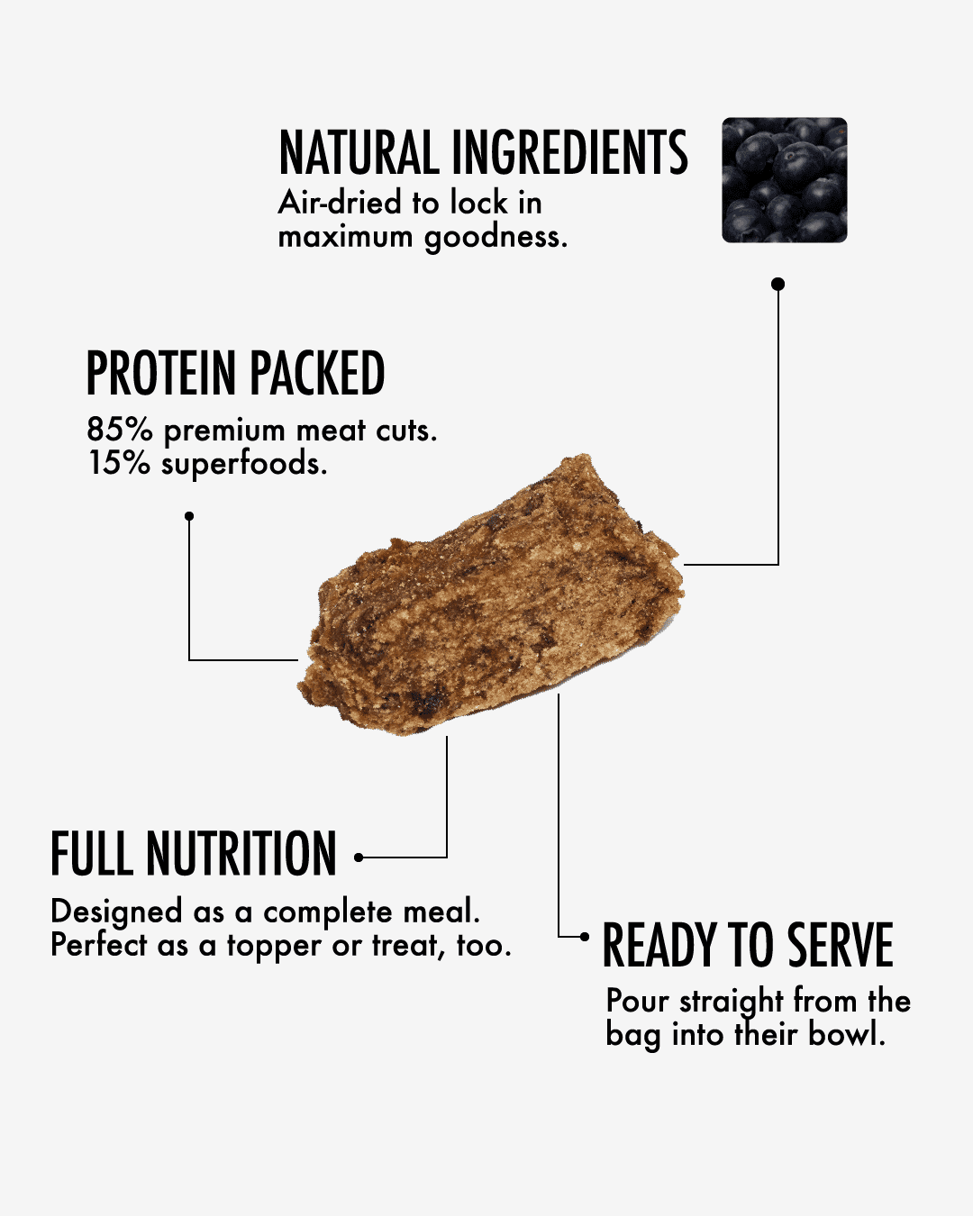 Really Good Dog Food, right this way | Rocketo