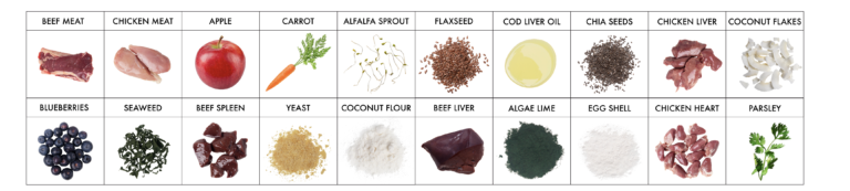 Really Good Dog Food, right this way | Rocketo