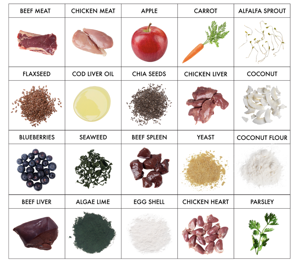 Really Good Dog Food, right this way | Rocketo