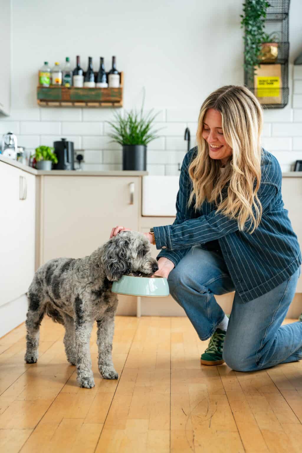 Really Good Dog Food, right this way | Rocketo